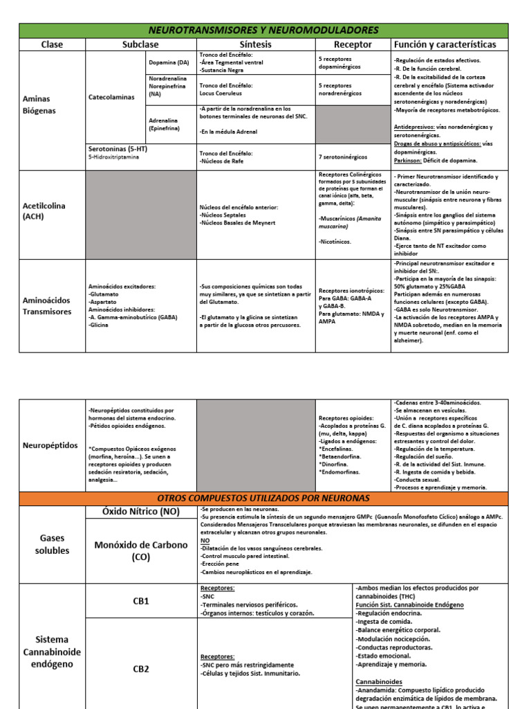Neurotransmisores | PDF | Norepinefrina | Dopamina