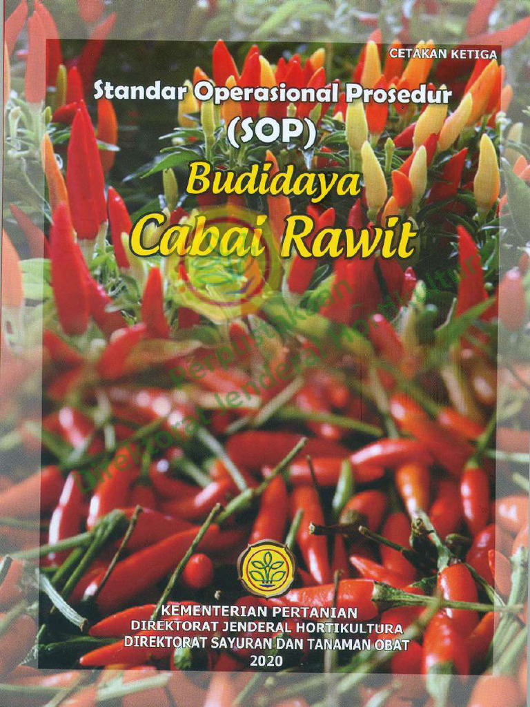 Standar Operasional Prosedur Budidaya Cabai Rawit0001 - Watermark | PDF