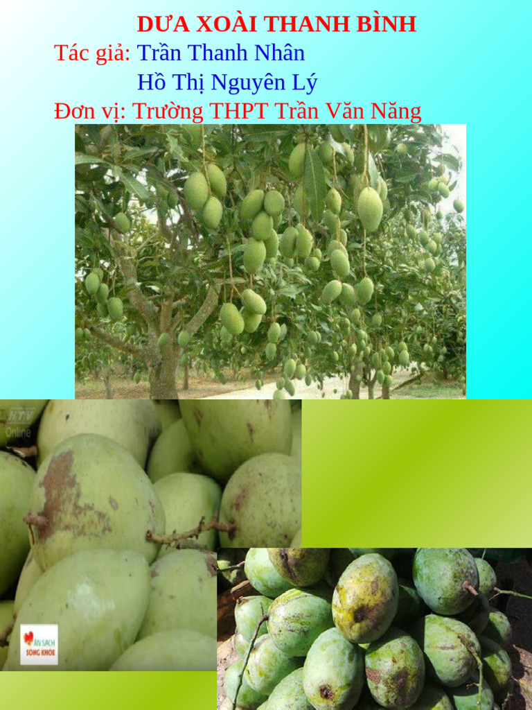 Tran Van Nhan Tran Van Nang2ee9 Pdf