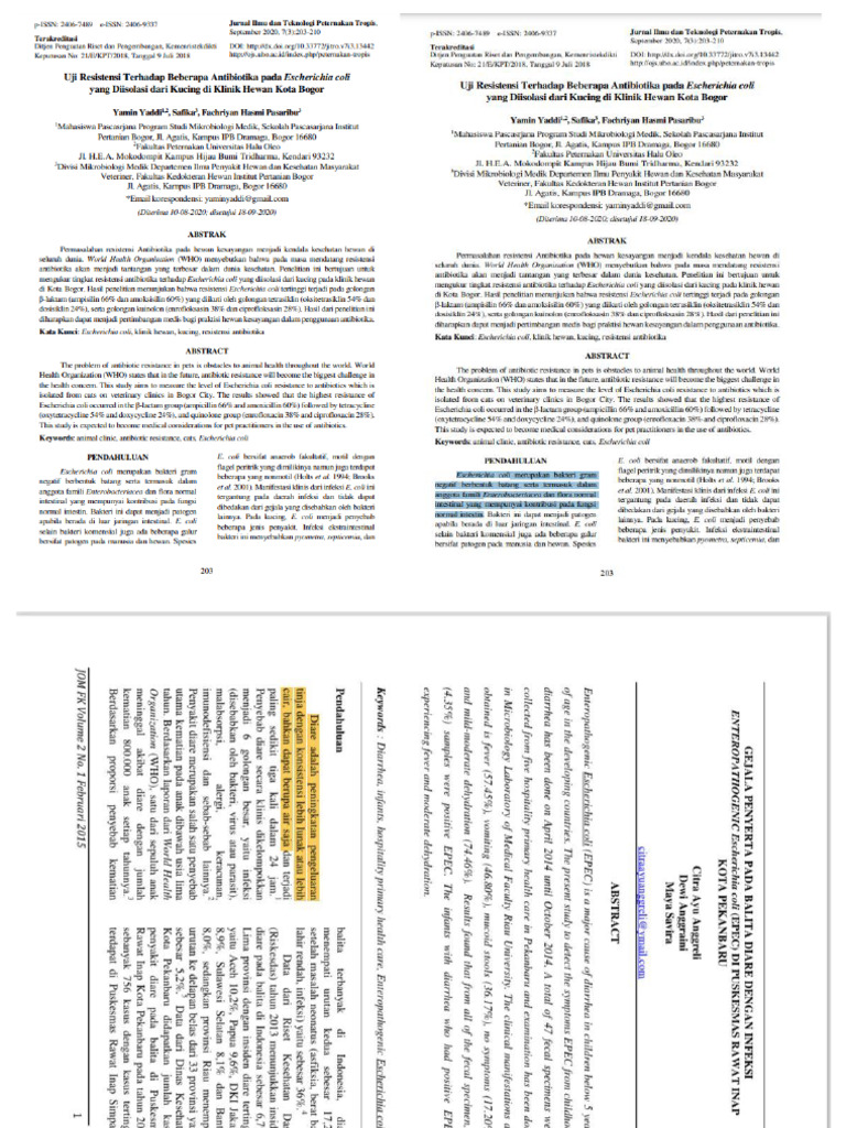 Lampiran Case Report Infeksius | PDF