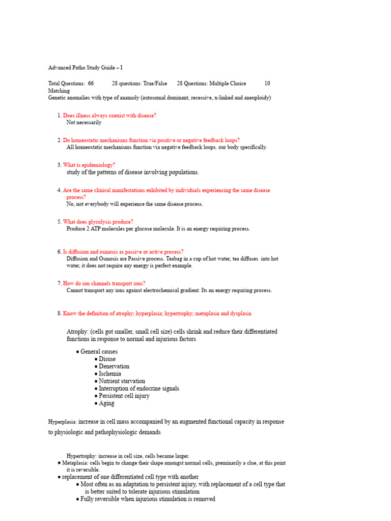 Adv Patho Study Guide I With Answersdocx 1 | PDF | Cardiac Muscle ...