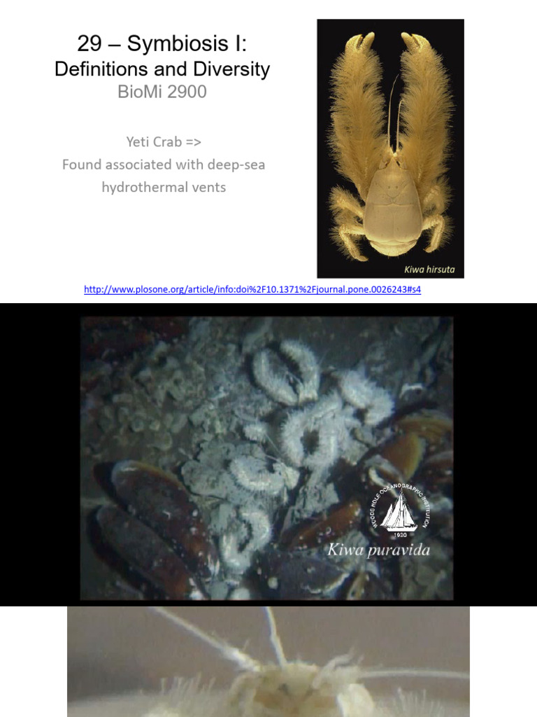 Lecture 29 - Symbiosis-I - 2023 | PDF | Symbiosis | Biological Interactions