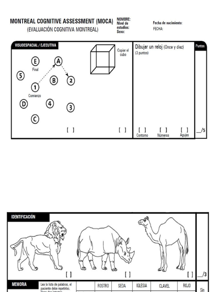 Moca Versión Ampliada | PDF