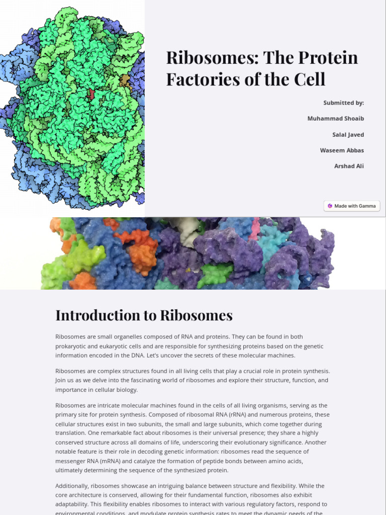 Ribosomes The Protein Factories of The Cell | PDF | Translation ...