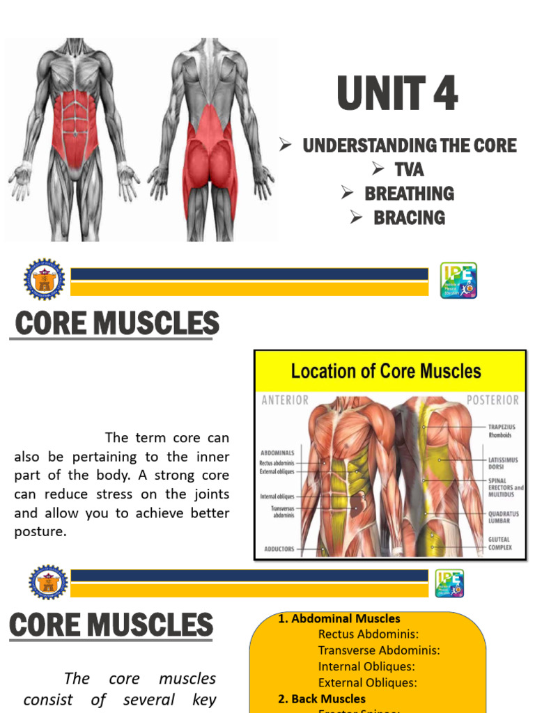 UNIT 4 - Understanding The Core TVA Breathing & Bracing | PDF | Abdomen ...