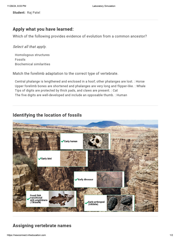 Lab #7b - Evolution | PDF