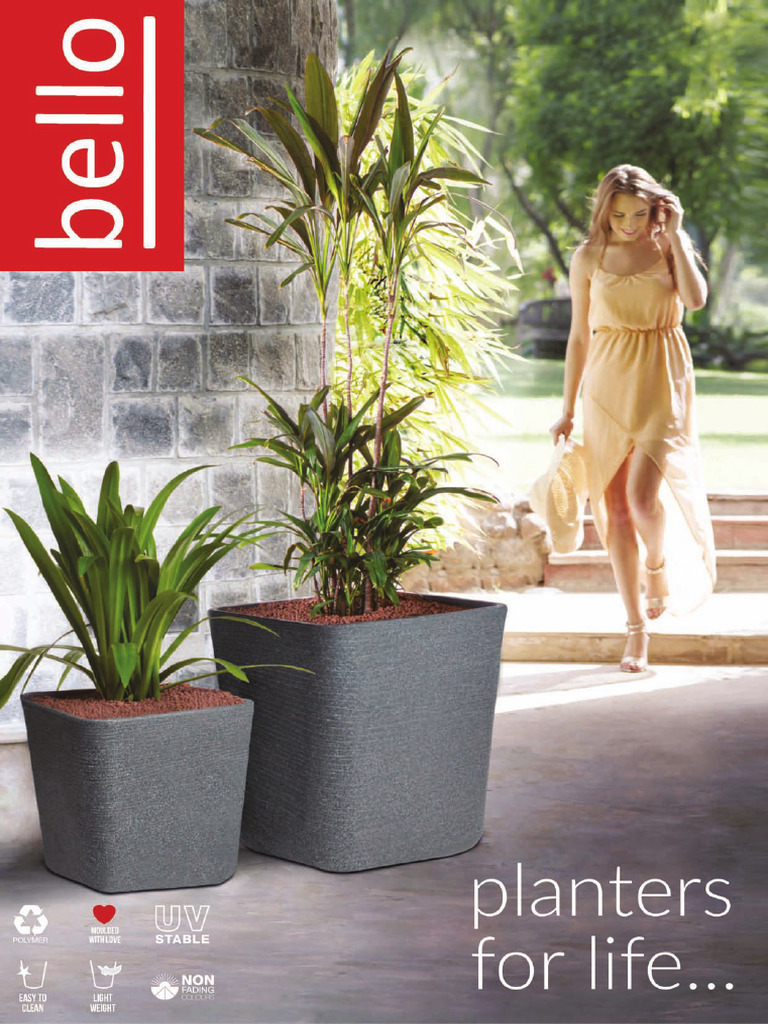 Bello Catalog Overview and Options | PDF