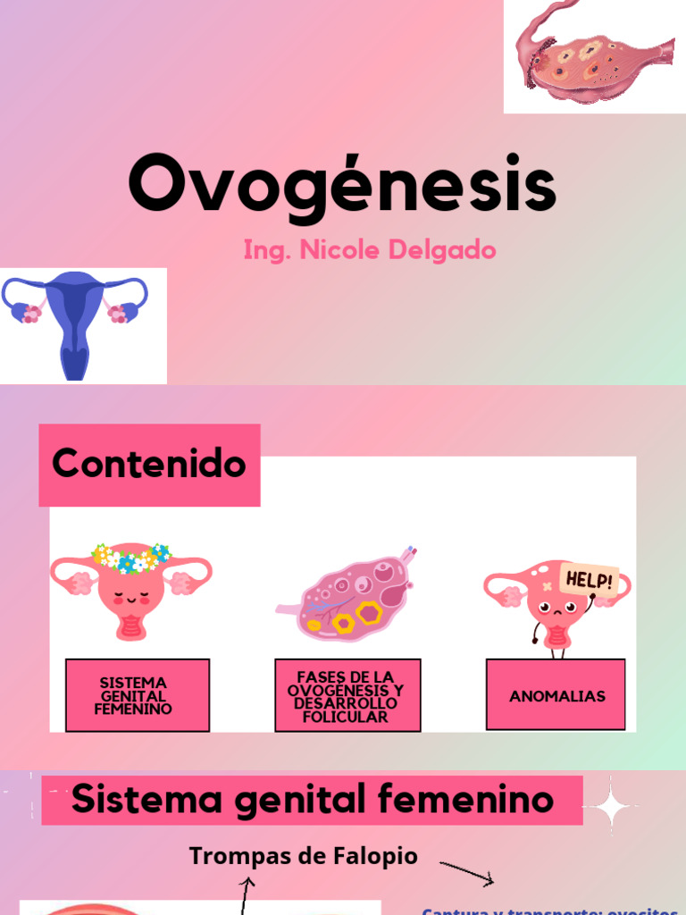 Ovogénesis - Compressed | PDF | Reproducción | Biología Celular