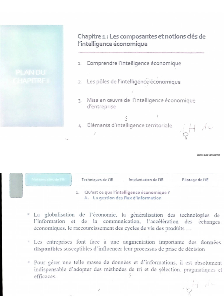 Intelligence Économique | PDF