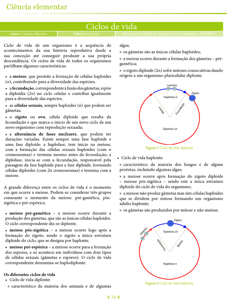 Ciclos de Vida: Diplonte, Haplonte e Haplodiplonte | PDF | Meiose | Ploidia