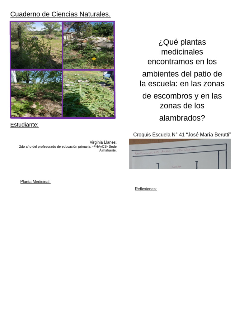 Mi Cuaderno de Ciencias Naturales | PDF