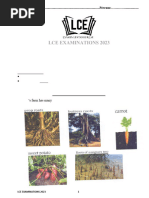 S5 Biology Exam Full Scenarios | PDF | Tissue (Biology) | Heart