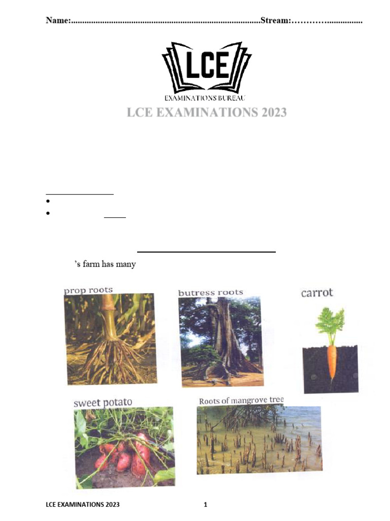 S3 Biology Lce | PDF
