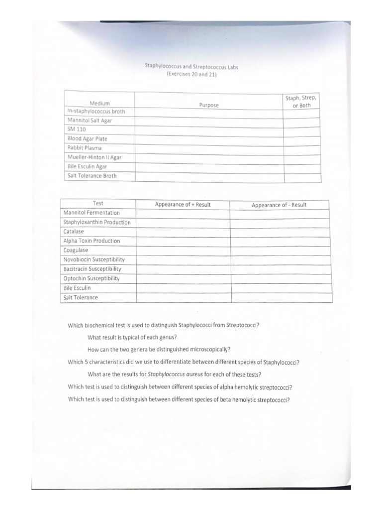 Staphylococcus and Streptococcus Labs | PDF