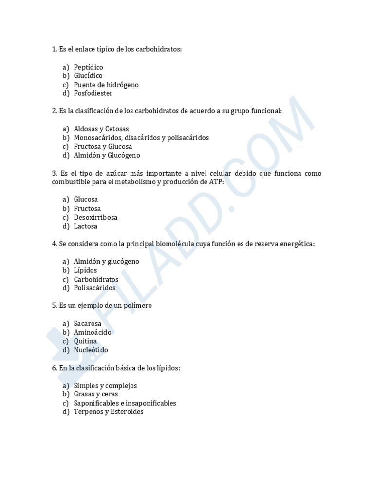 Examen Bioqui Mica Biomole Culas | PDF | Carbohidratos | Proteínas