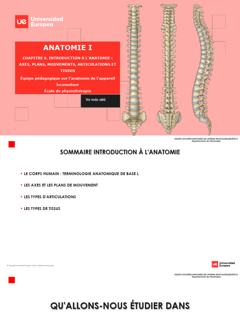 Bloc I - Chapitre 0. Introduction À L'anatomie. Axes, Plans, Mouvements ...