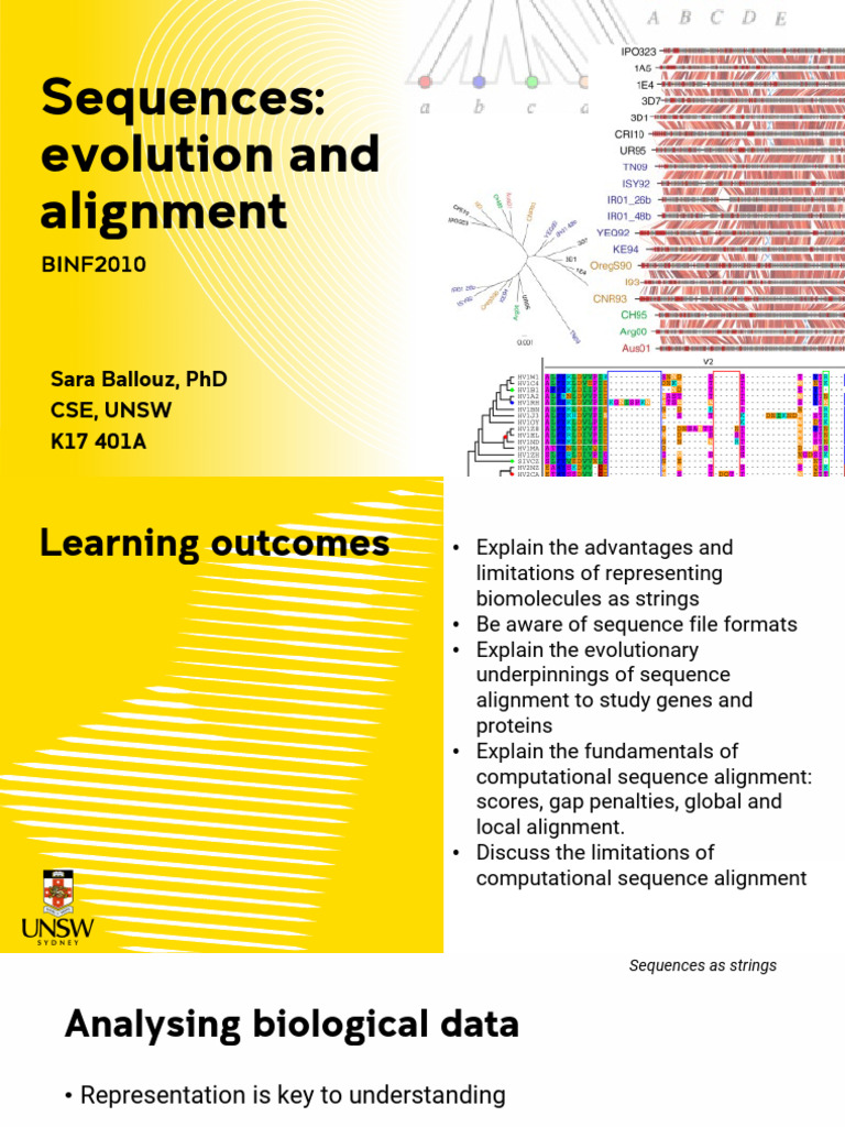 02 Sequence Alignment | PDF | Nucleic Acid Sequence | Sequence Alignment