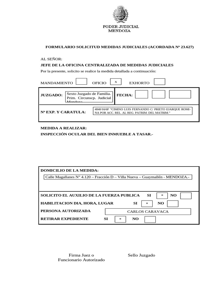 Formulario Medidas Judiciales | PDF