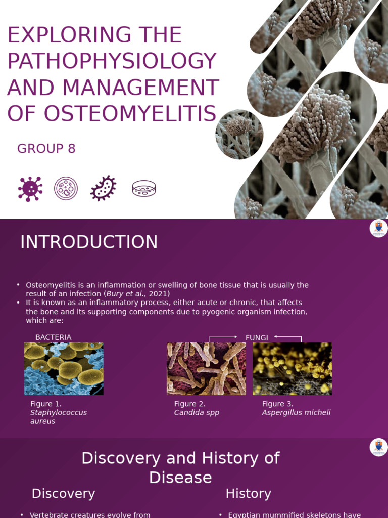 Osteomyelitis Presentation 102.2 | PDF | Medical Specialties | Diseases ...