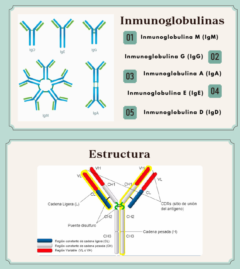Inmunoglobulinas Pdf