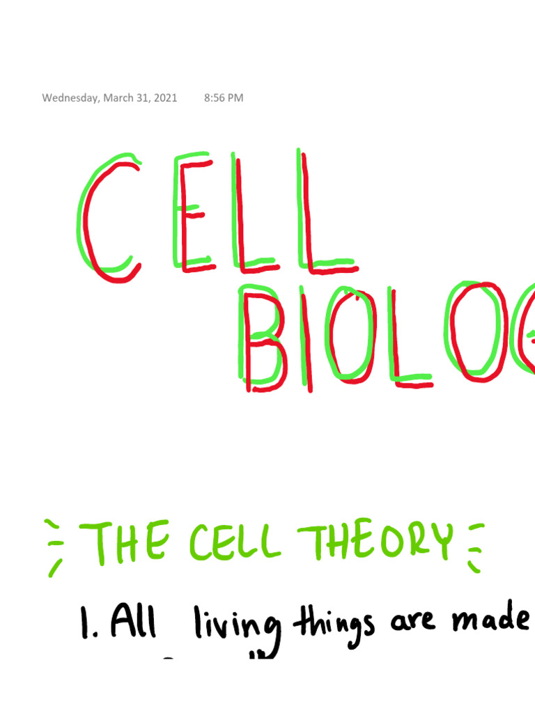 Cell Bio | PDF