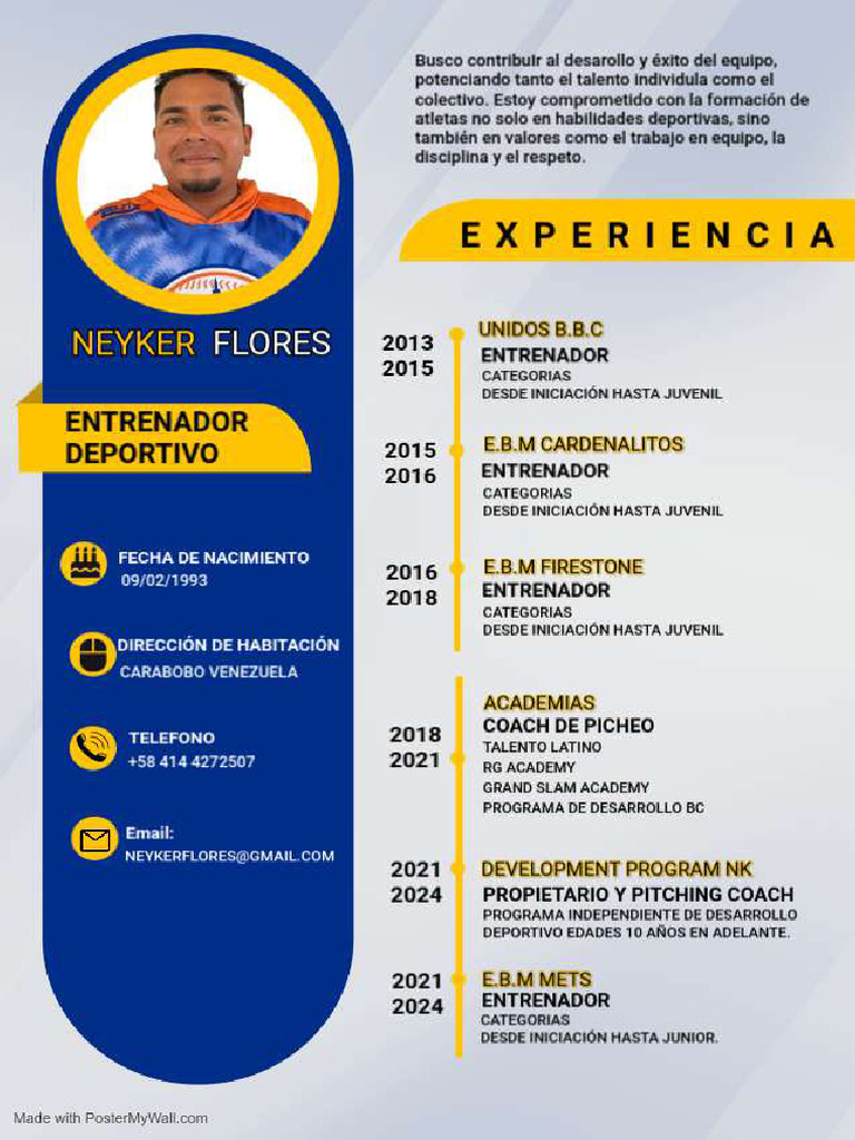 Modern CV Resume Design Flyers - Hecho Con PosterMyWall | PDF