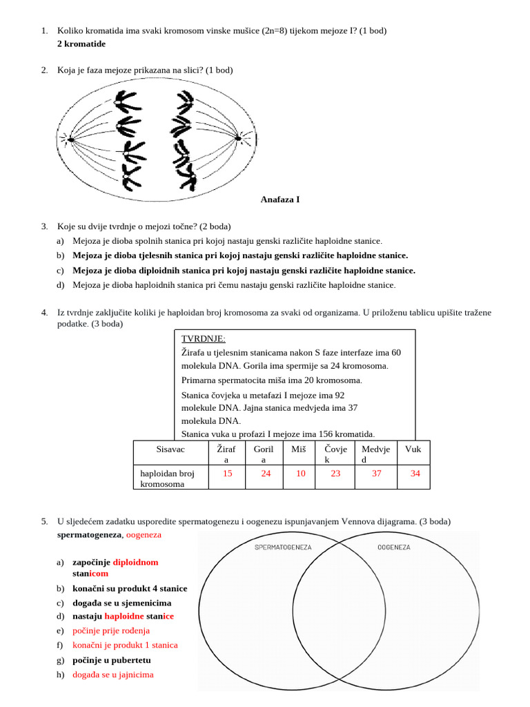 Edutorij 1 I 3 (Mejoza) | PDF