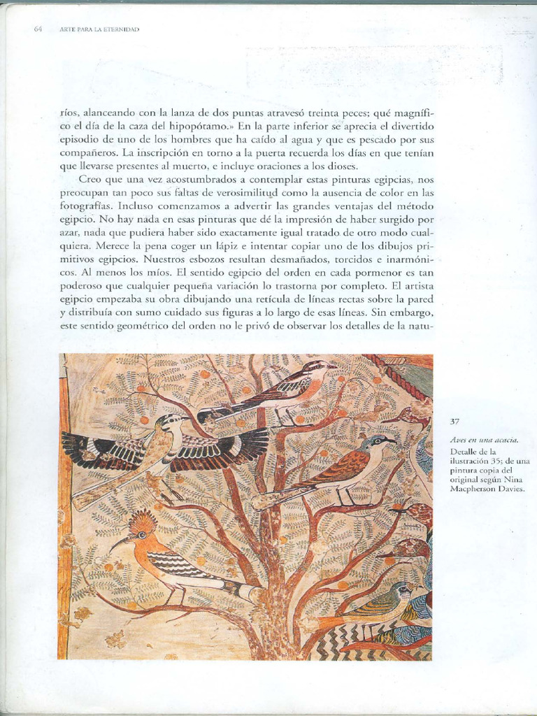 Organized (1) - 0034 | PDF