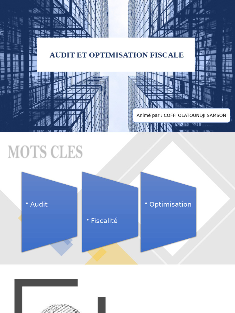 Audit Et Optimisation Fiscale Mba | PDF | Audit | Audit financier