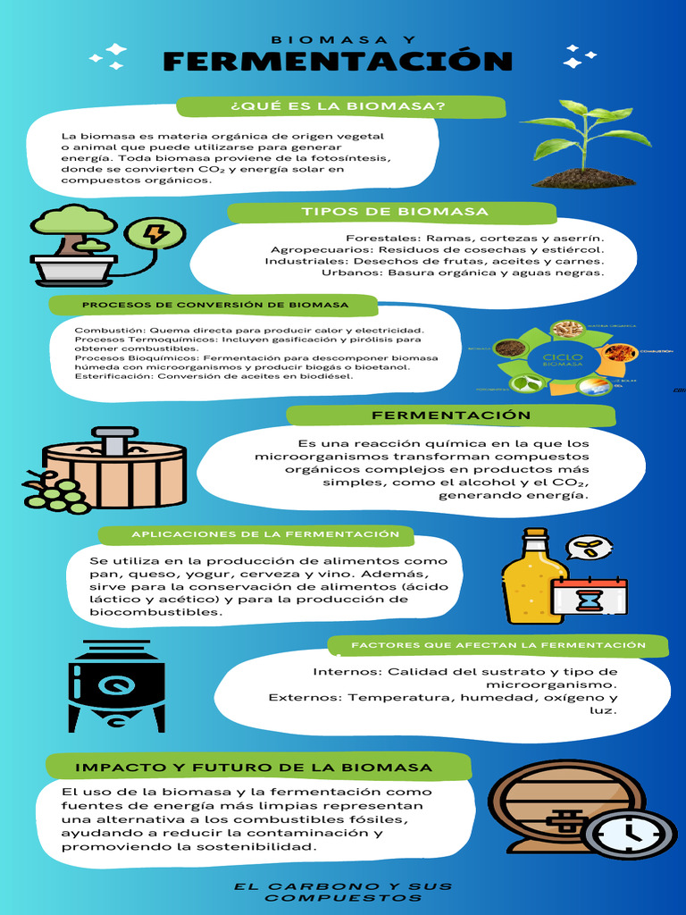 Infografia de La Fermentacion | PDF | Biomasa | Fermentación