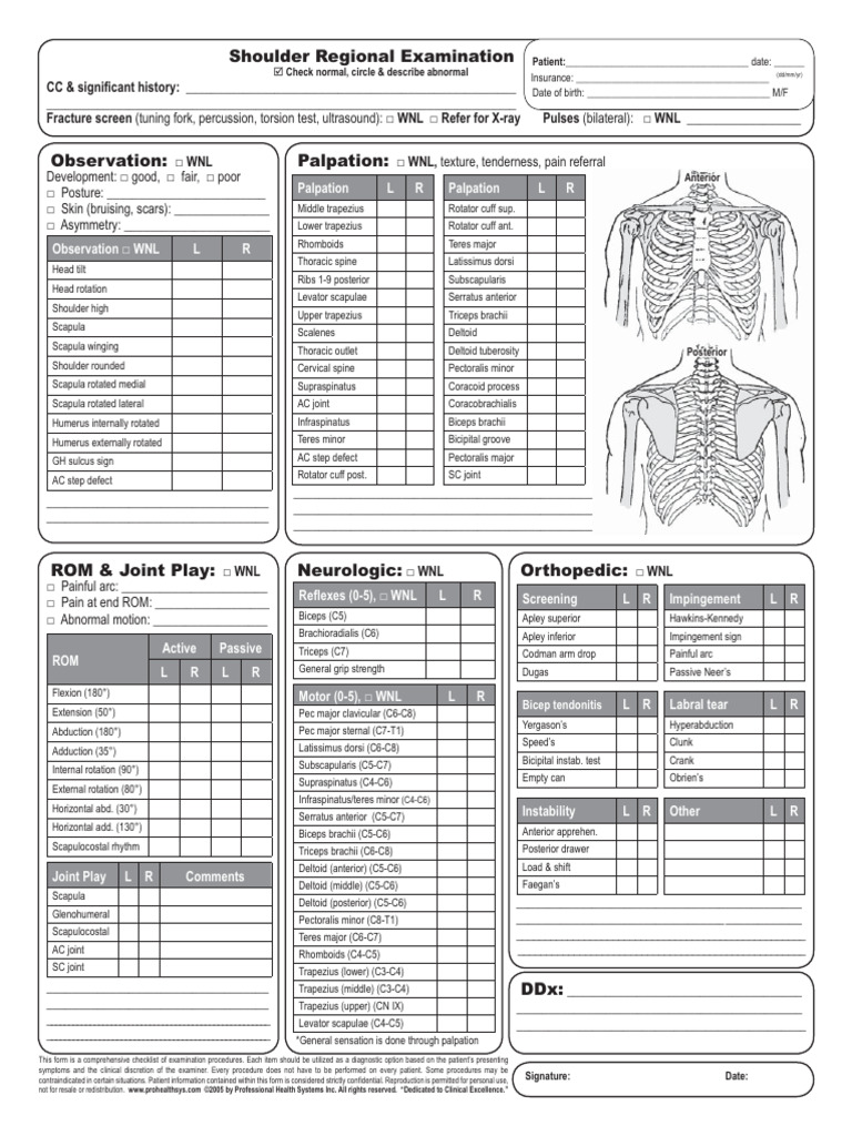 Shoulder Examination Checklist | PDF | Shoulder | Soft Tissue