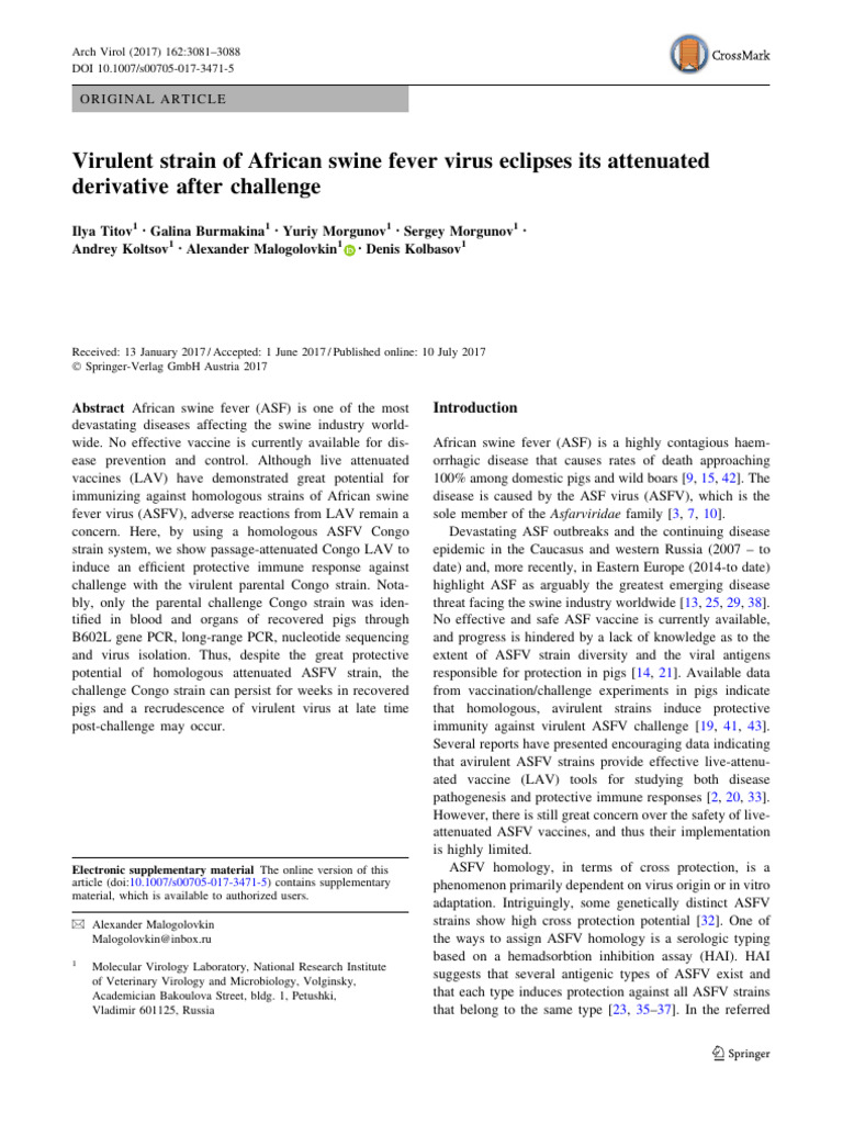 Virulent Strain of African Swine Fever Virus Eclipses Its Attenuated Derivative After Challenge ...