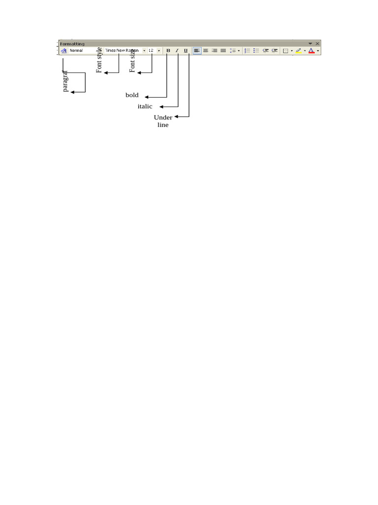 Formating Tool Bar | PDF