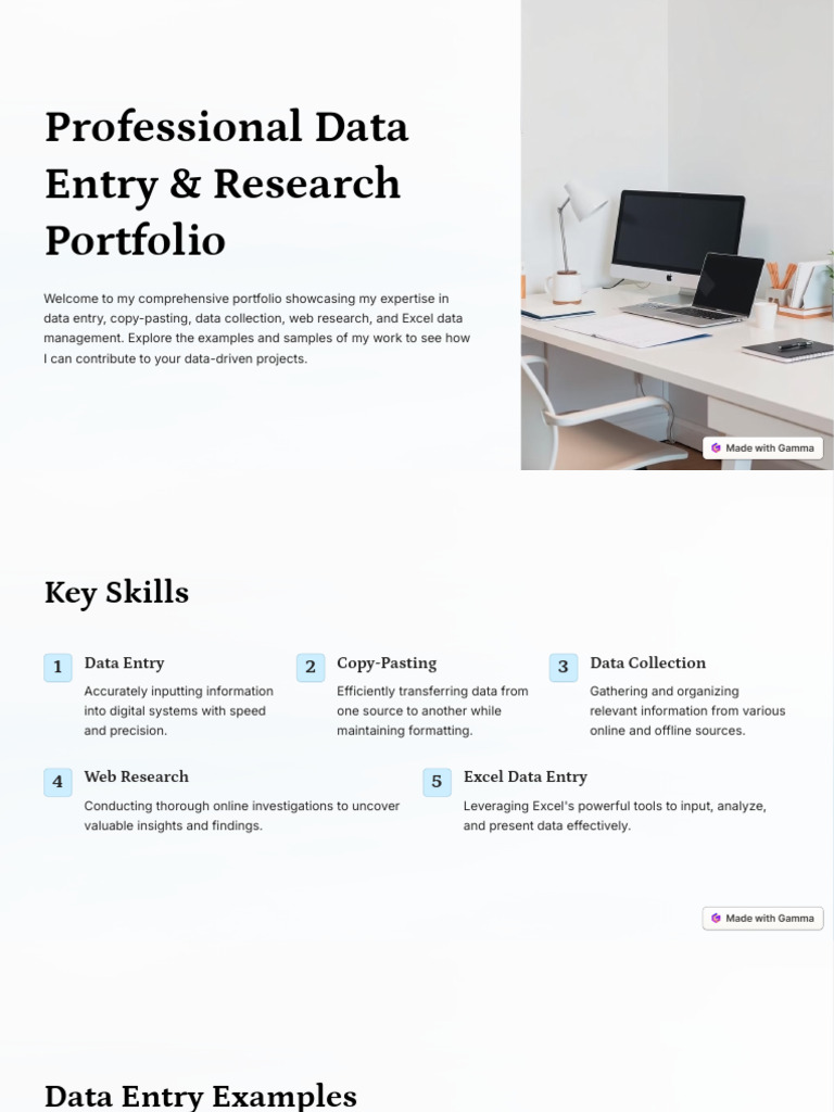 Professional Data Entry Portfolio | PDF | Microsoft Excel | Data