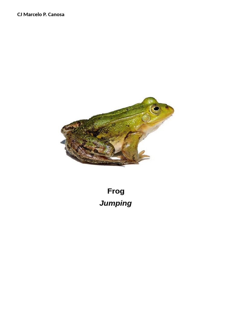 Animals - Frog | PDF