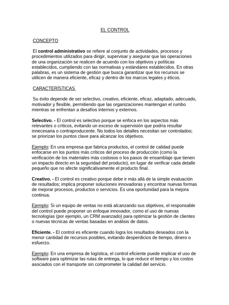 El Control Resumen | PDF | Planificación | Business
