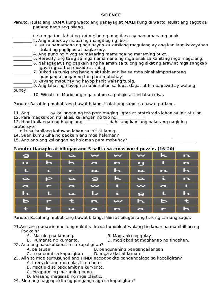 Activity Grade 3 | PDF