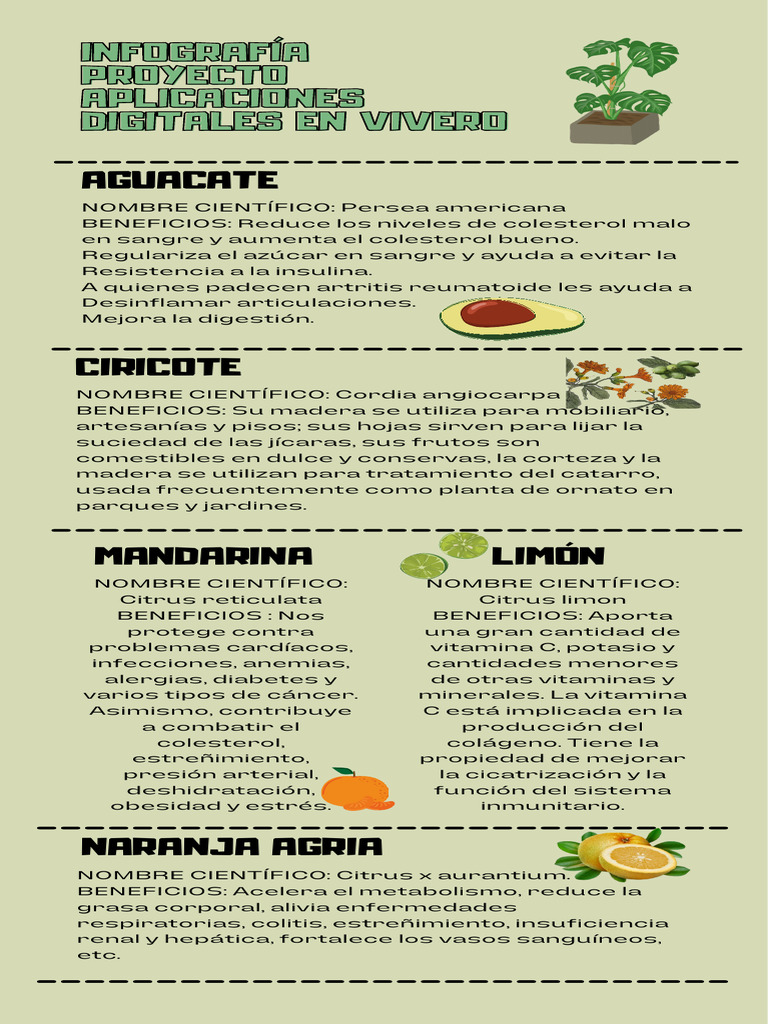 Green & Brown Monstera Plant Fun Facts Infographic - 20240221 - 171259 ...