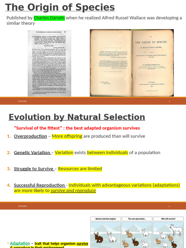 Evolution Part 2 | PDF | Natural Selection | Evolution