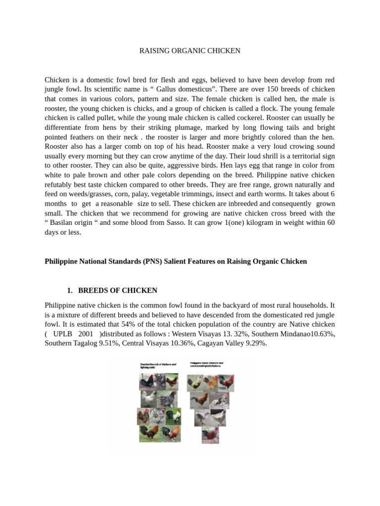 Organic Chicken Farming Guide | PDF | Chicken | Ornithology
