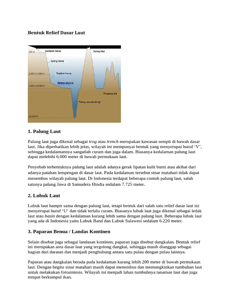 Bentuk Relief Dasar Laut | PDF