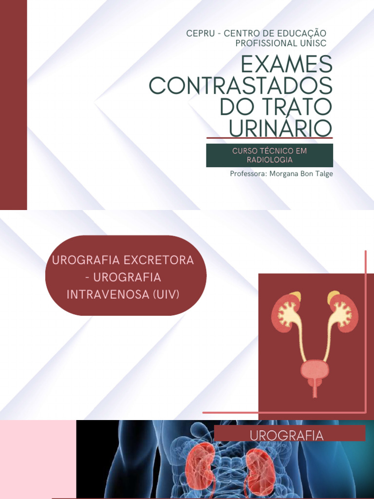 Exames Contrastados do Trato Urinário | PDF | Rim | Anatomia