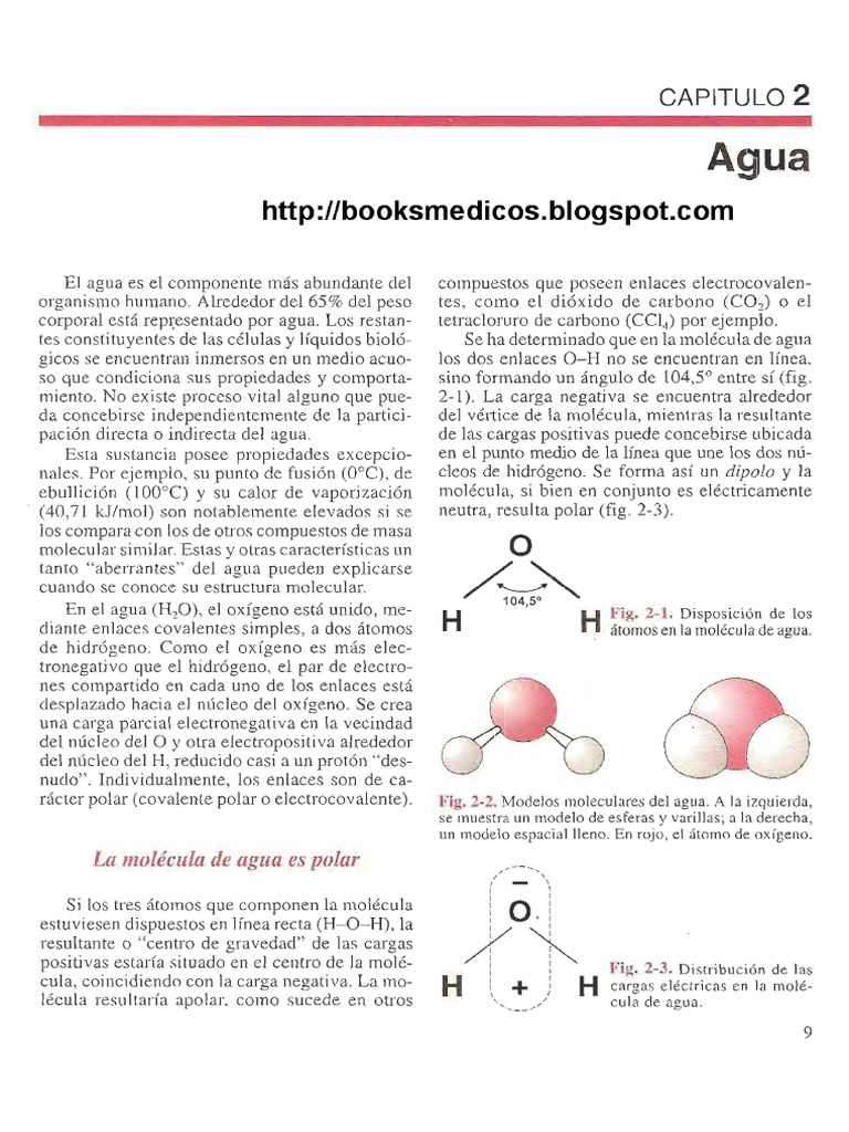 Cap. Agua - Qu-Mica Biol-Gica de Antonio Blanco - 8va Edici-N | PDF
