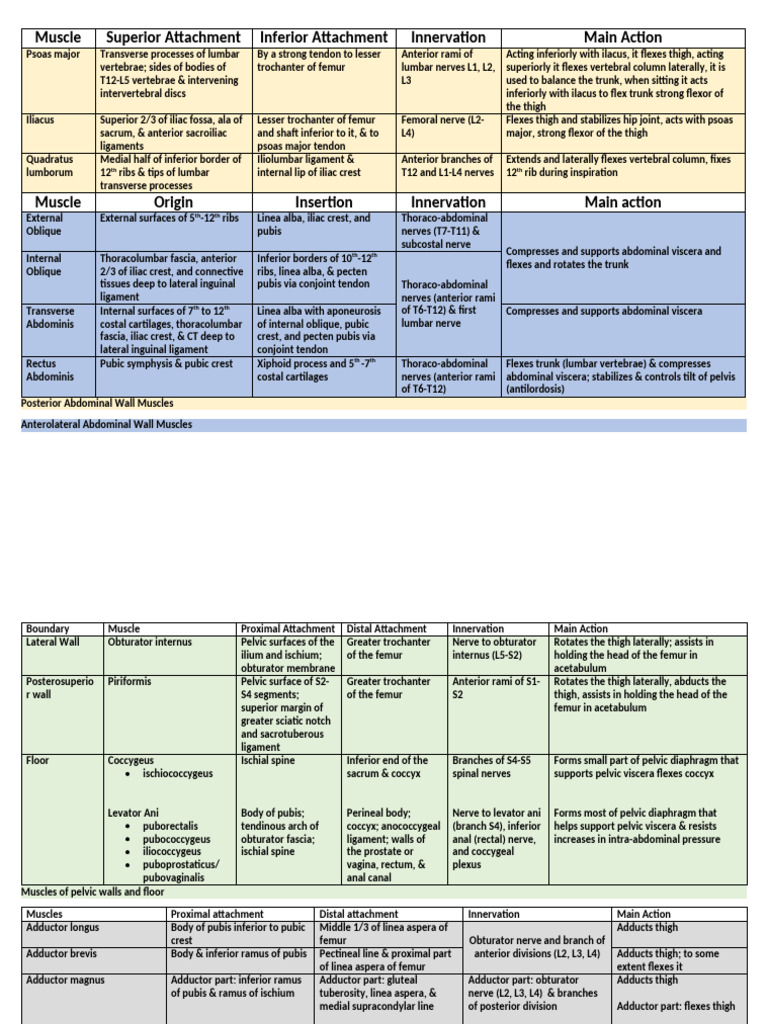 BLock Three Muscles | PDF | Human Leg | Foot