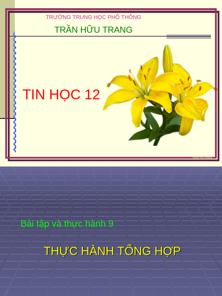 Tiet 34. Bai Tap Va Thuc Hanh 9. Tong Hop | PDF