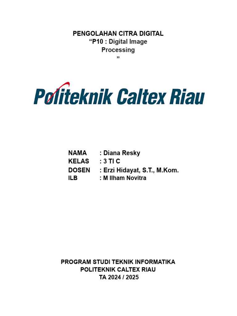 DianaResky RGB PCD10 | PDF