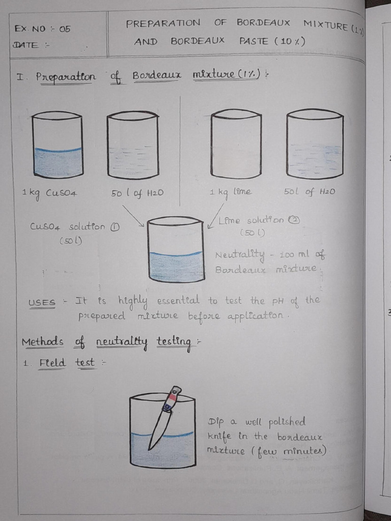 PAT 202 Ex No - 5 | PDF | Physical Chemistry