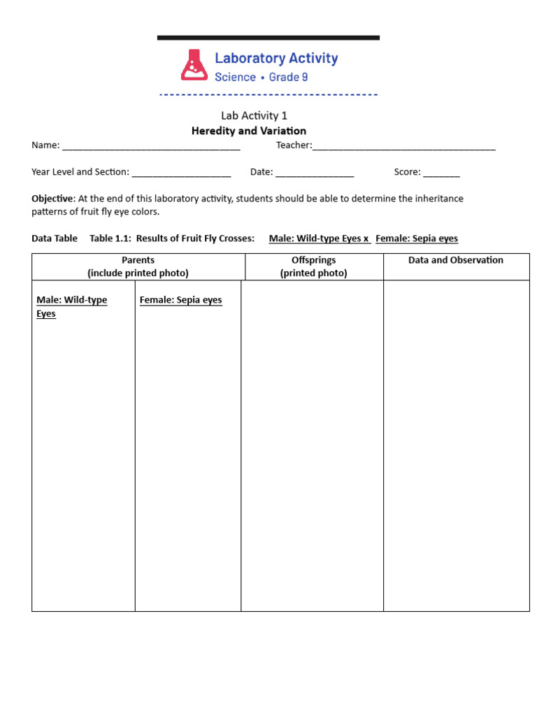 Lab Activity Genetics Heredity Data Sheet | PDF