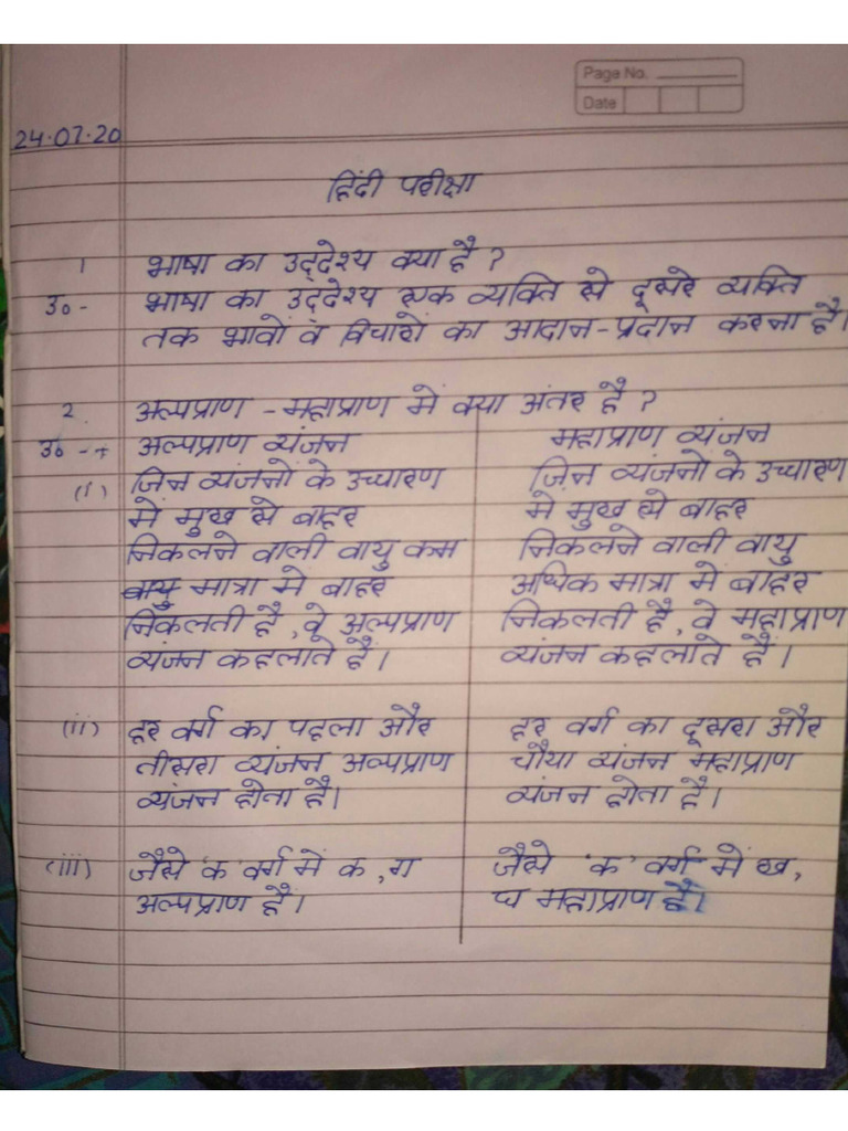 Hindi Test Neev Jain 8A 03 | PDF