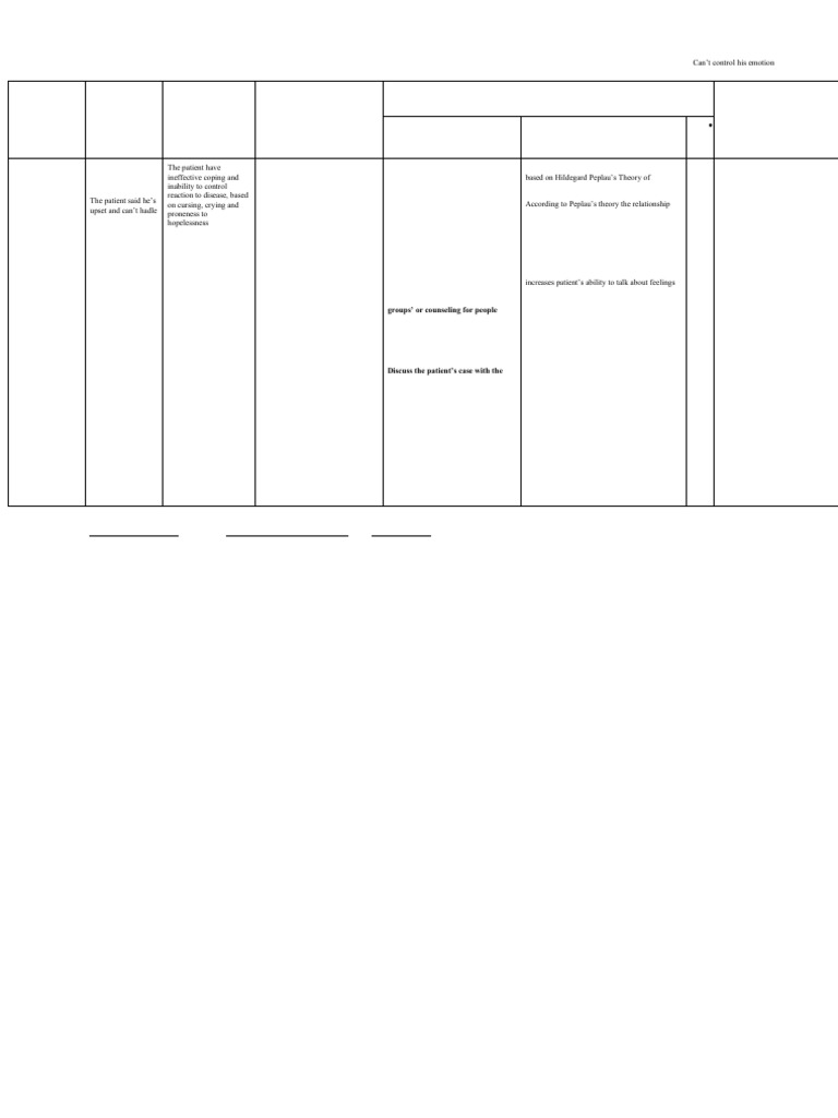 Nursing Care Plan Example | PDF | Psychotherapy | Health Professional